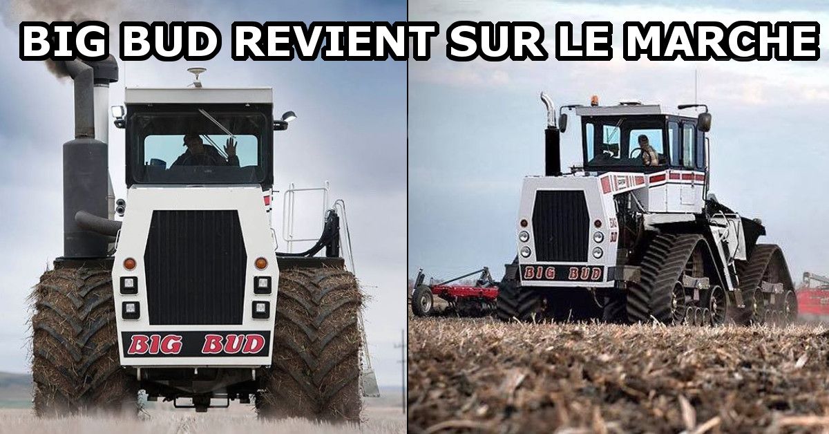 Le BIG BUD revient sur le marché