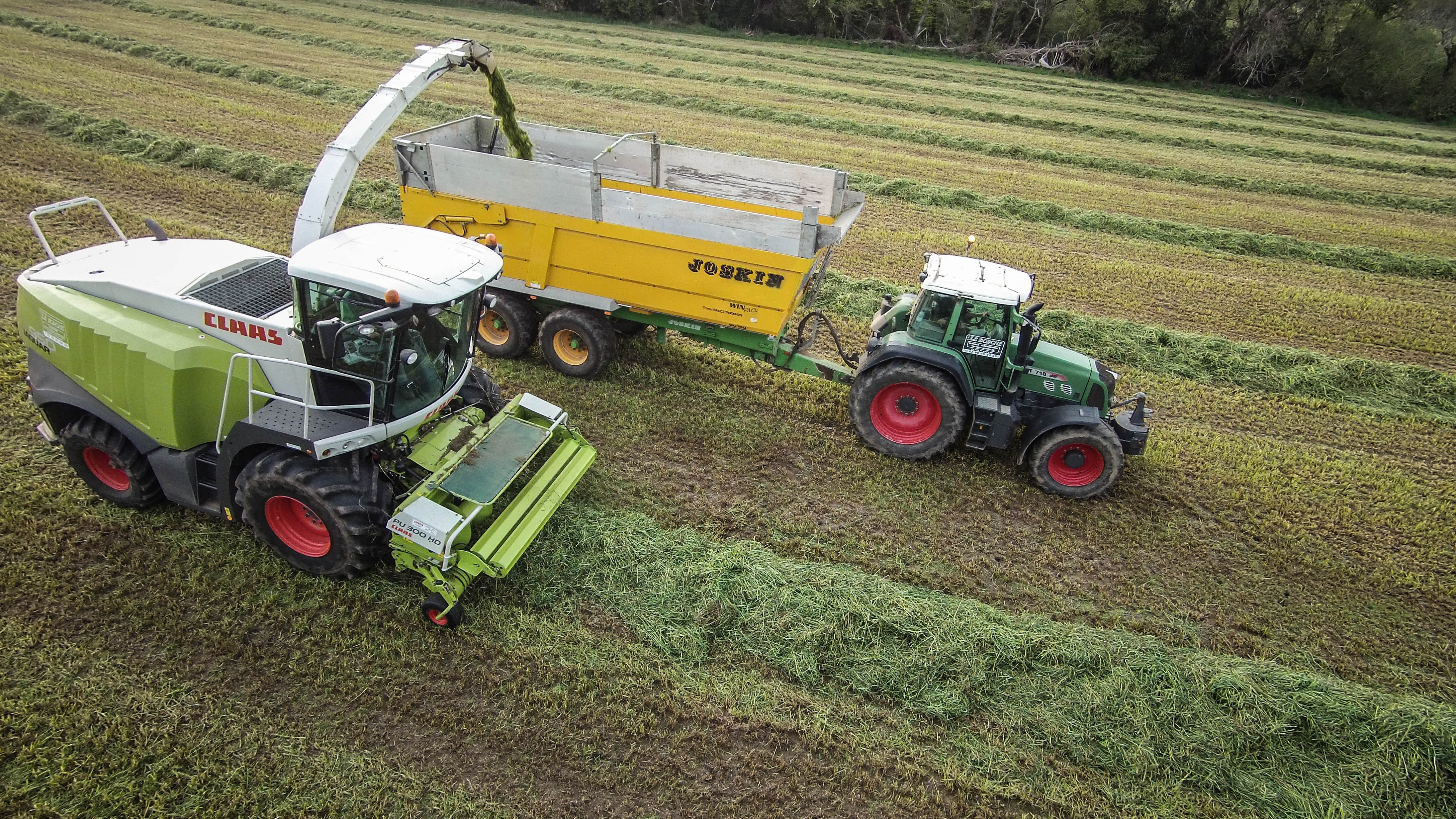 Avis Jaguar 950 de la marque Claas - Ensileuses